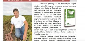 Zeleni hit