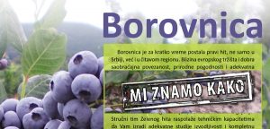 Zeleni hit