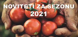 Zeleni hit